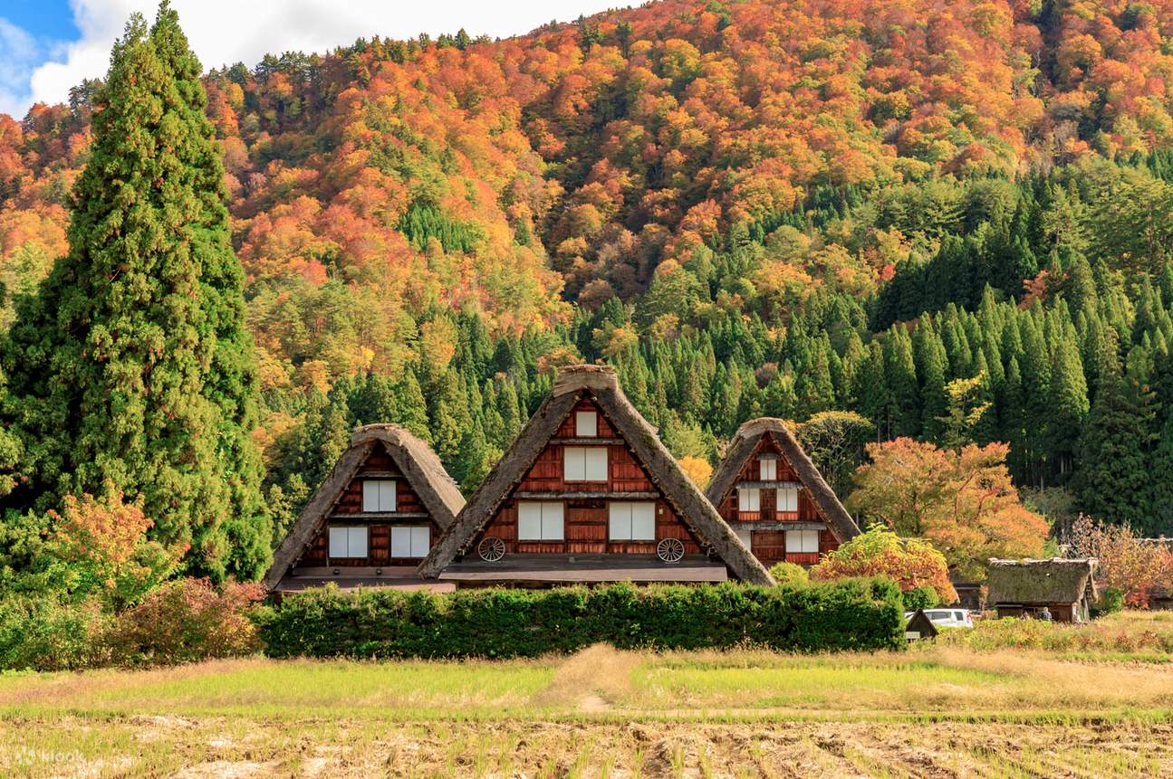 Excursión de un día al pueblo de Gifu Shirakawa-go Gassho y al casco ...