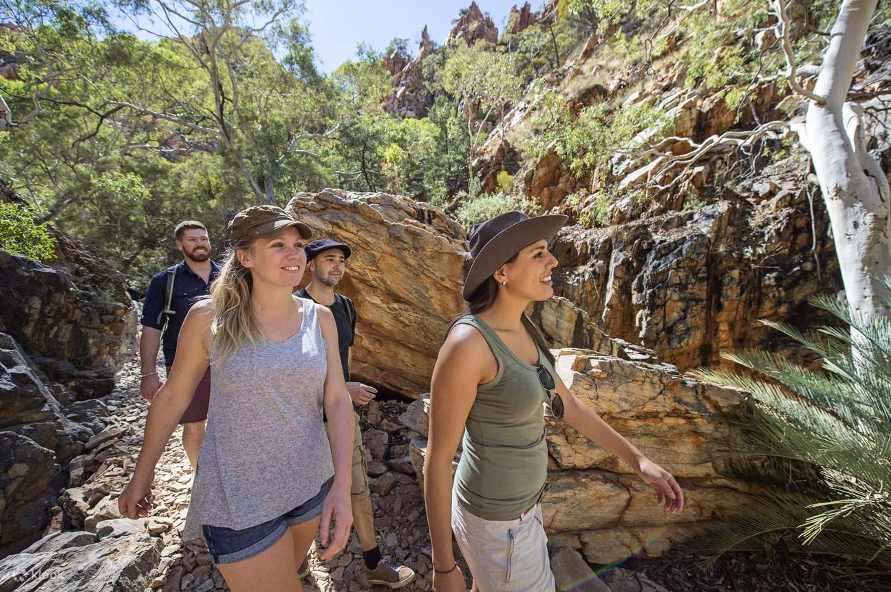 West MacDonnell Ranges & Standley Chasm Day Tour from Alice Springs ...