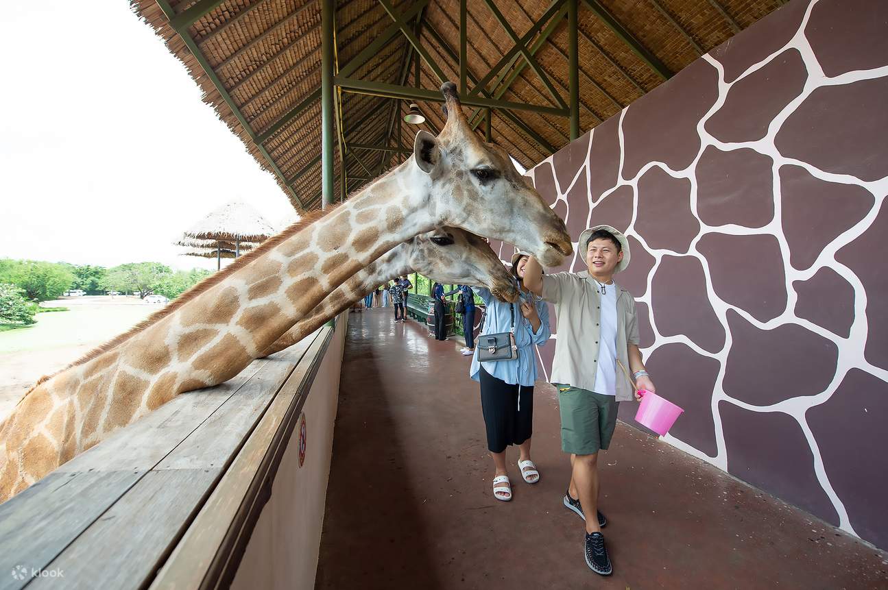 Bangkok Safari World, B Story Garden, and Huamum Market Day Tour - Klook