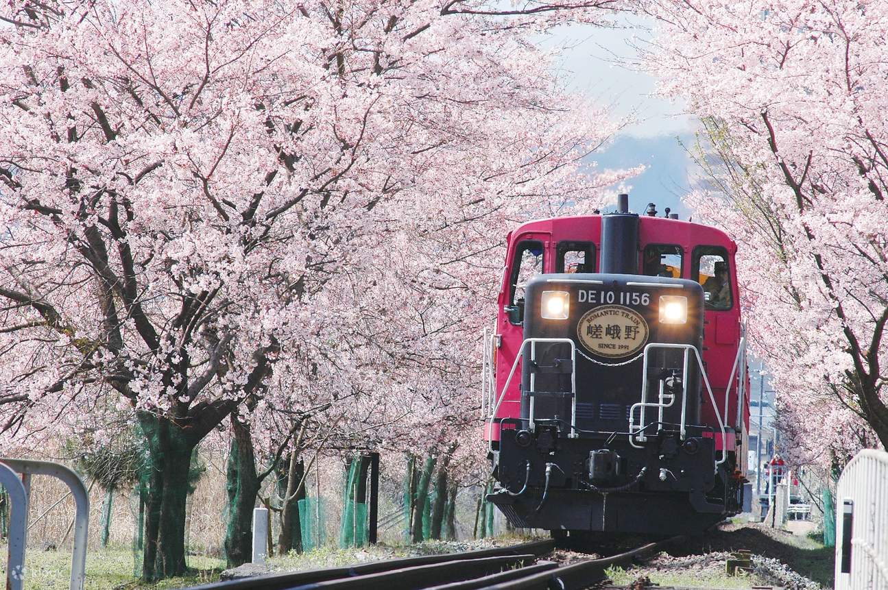 Kyoto Sagano Romantic Train Day Tour - Klook India