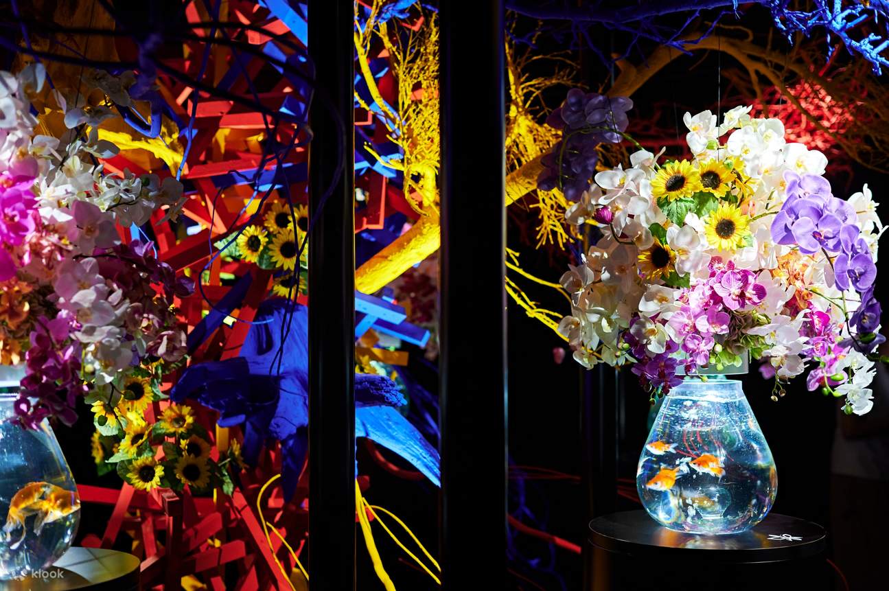 Art Aquarium Museum GINZA Admission Ticket - Klook Indonesia