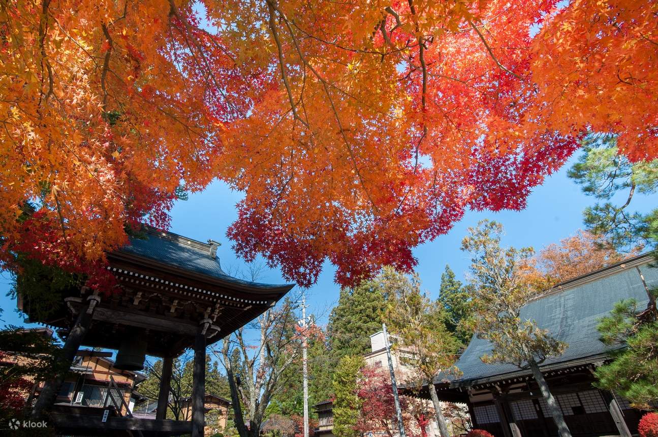 Online Booking for Shirakawa-go, Gujo Hachiman, and Hida Takayama Day ...