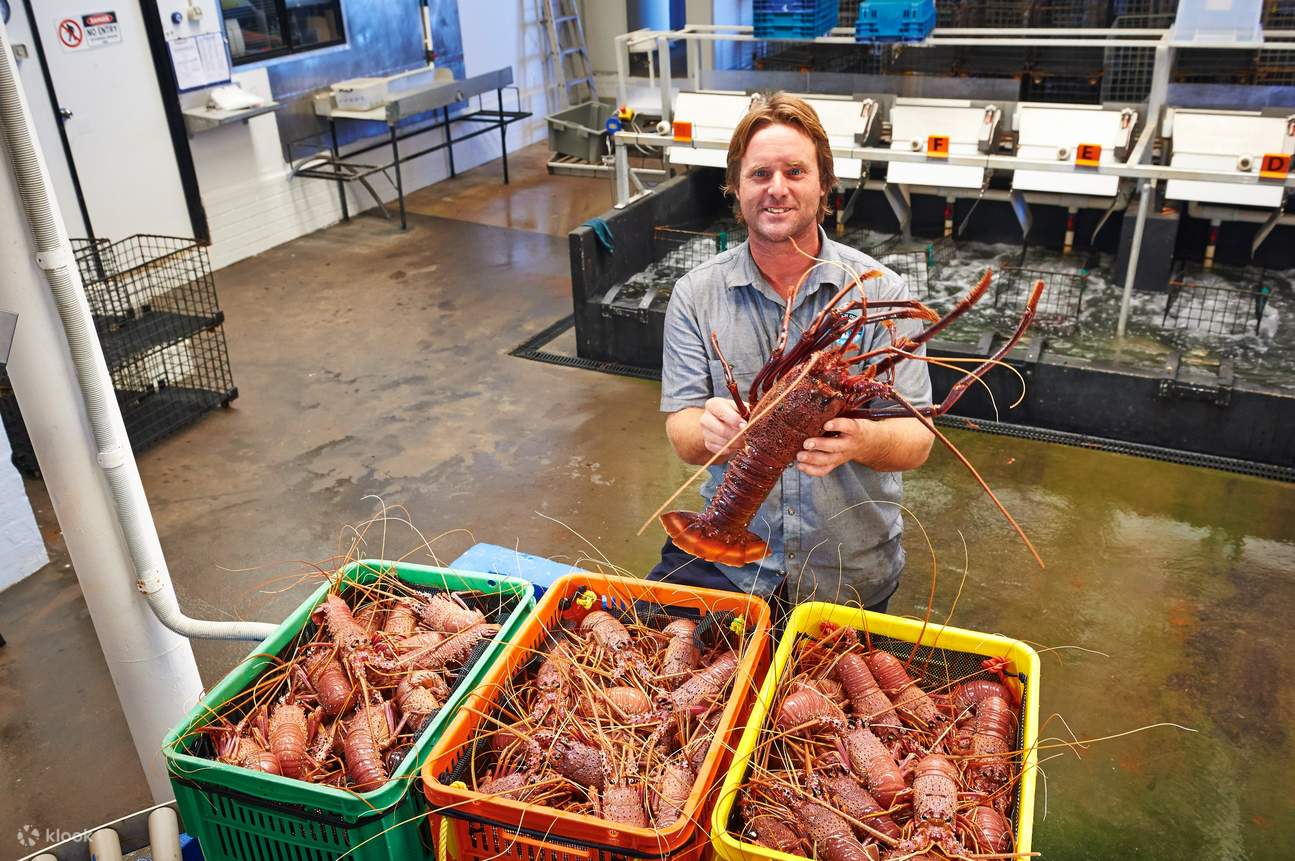 1 Day Pinnacles, Lobster & Lavender Farm Tour - Klook