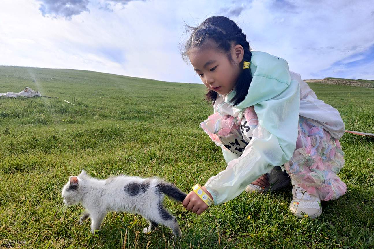 3-Day Tour to Wulanbutong Grassland in Inner Mongolia (2-6 people in ...