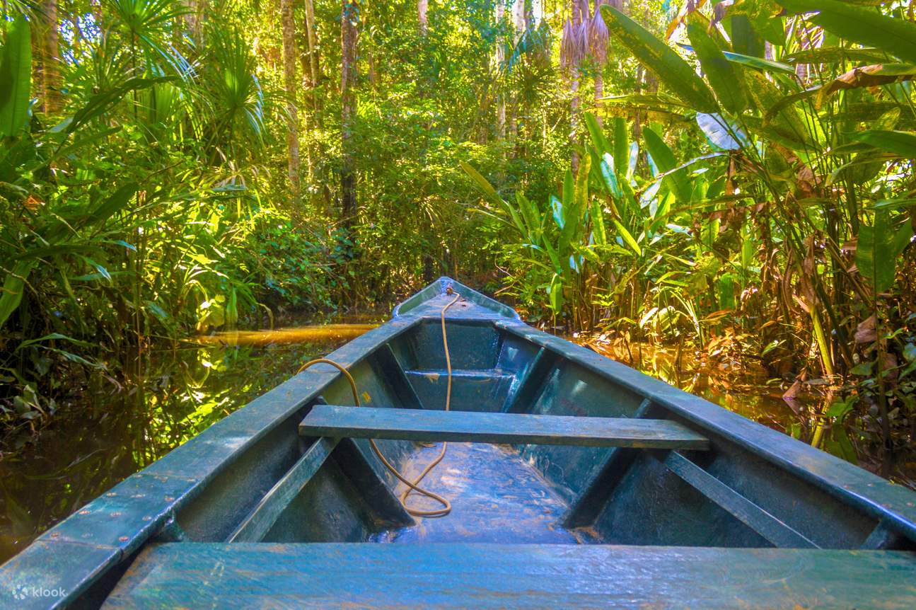 Discover the Wonders of Manu: 5-Day Amazon Rainforest Tour - Klook India