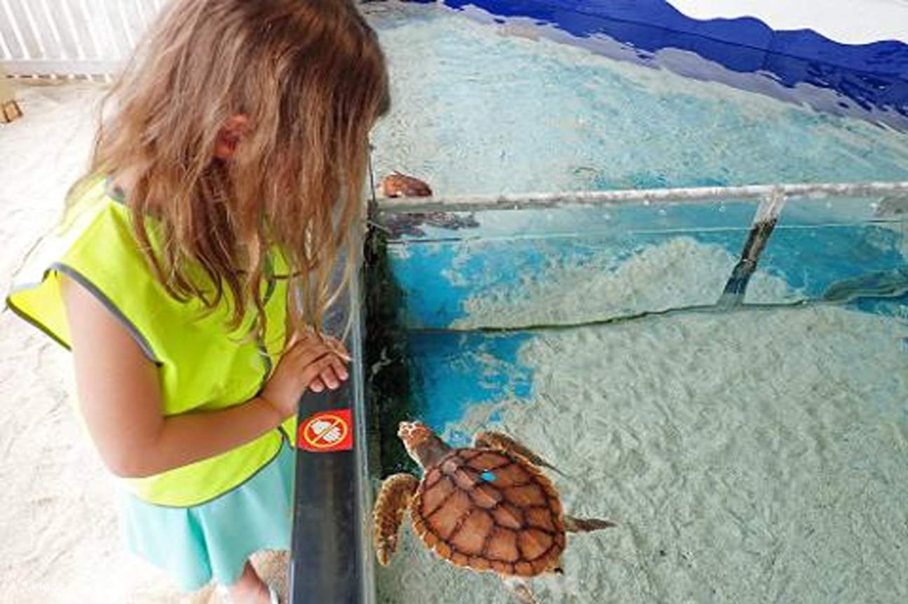 Lawatan Pass VIP Behind The Scenes Akuarium Australia Barat - Klook ...