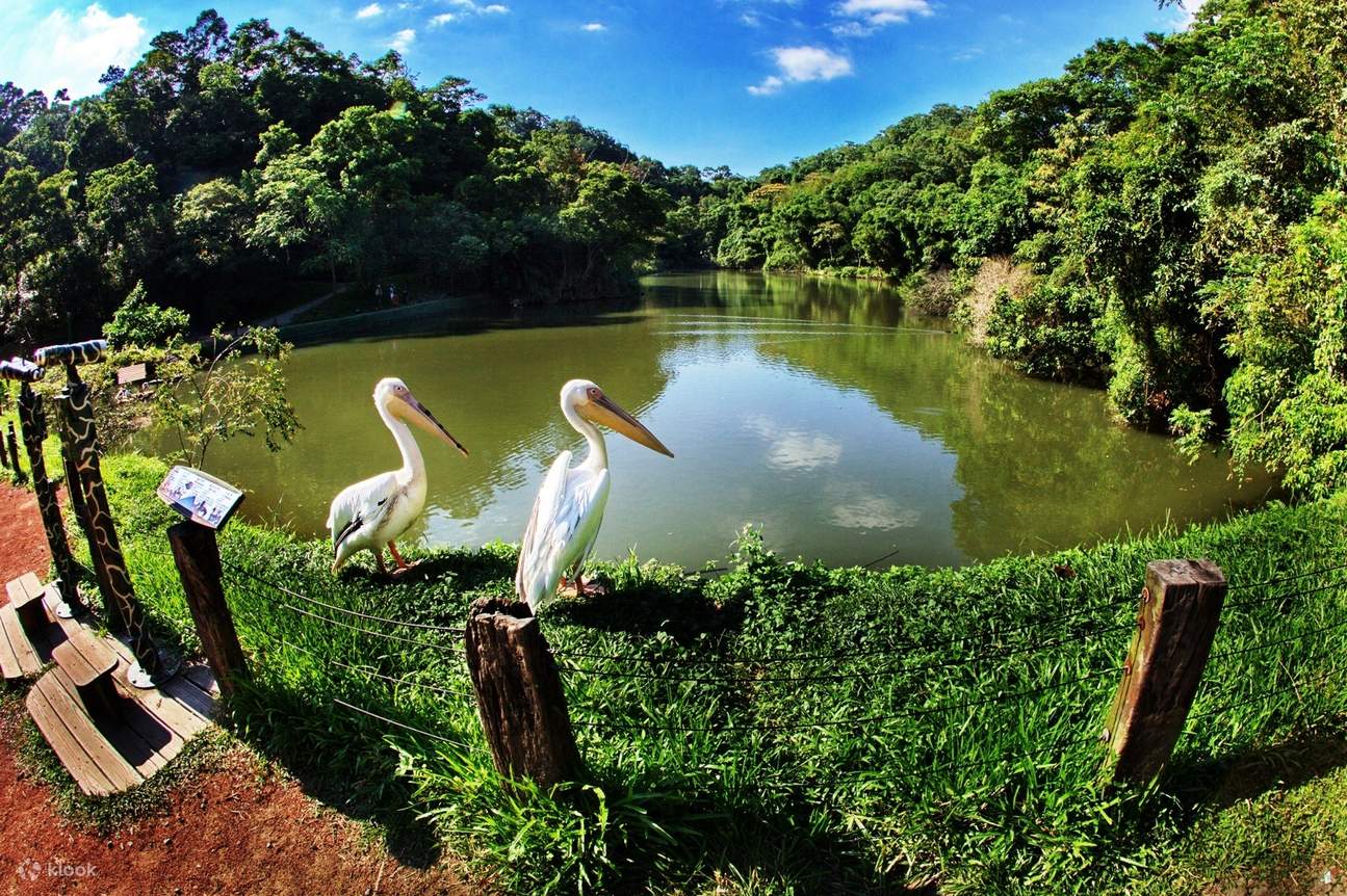 Green World Ecological Farm Ticket - Klook