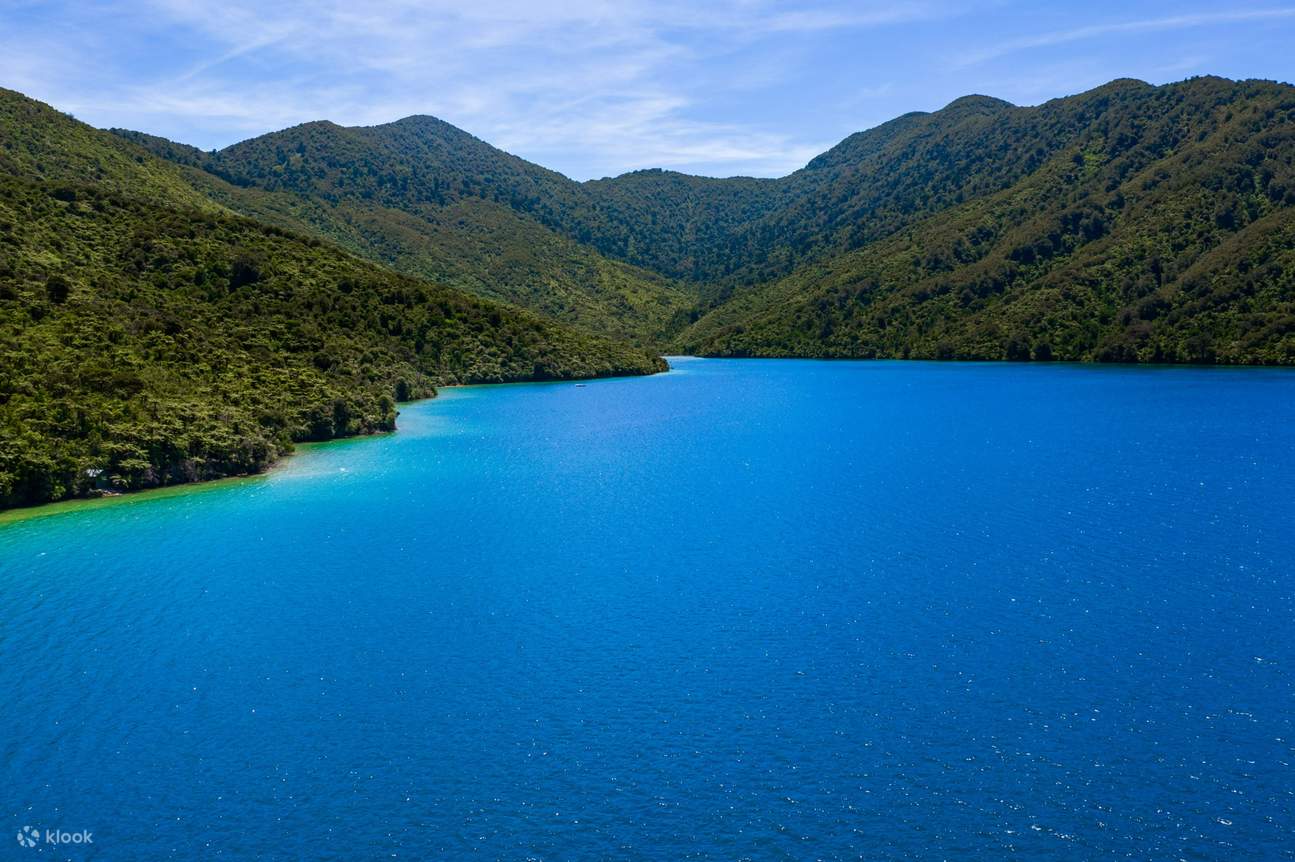 Marlborough's Best Full Day Tour - Klook