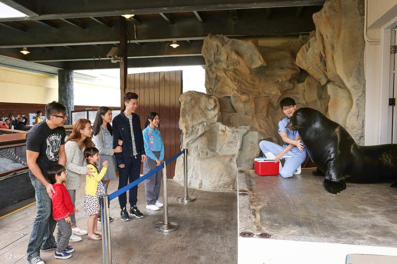 【Monkey Tree Exclusive】Ocean Park Conservation Camp - Klook