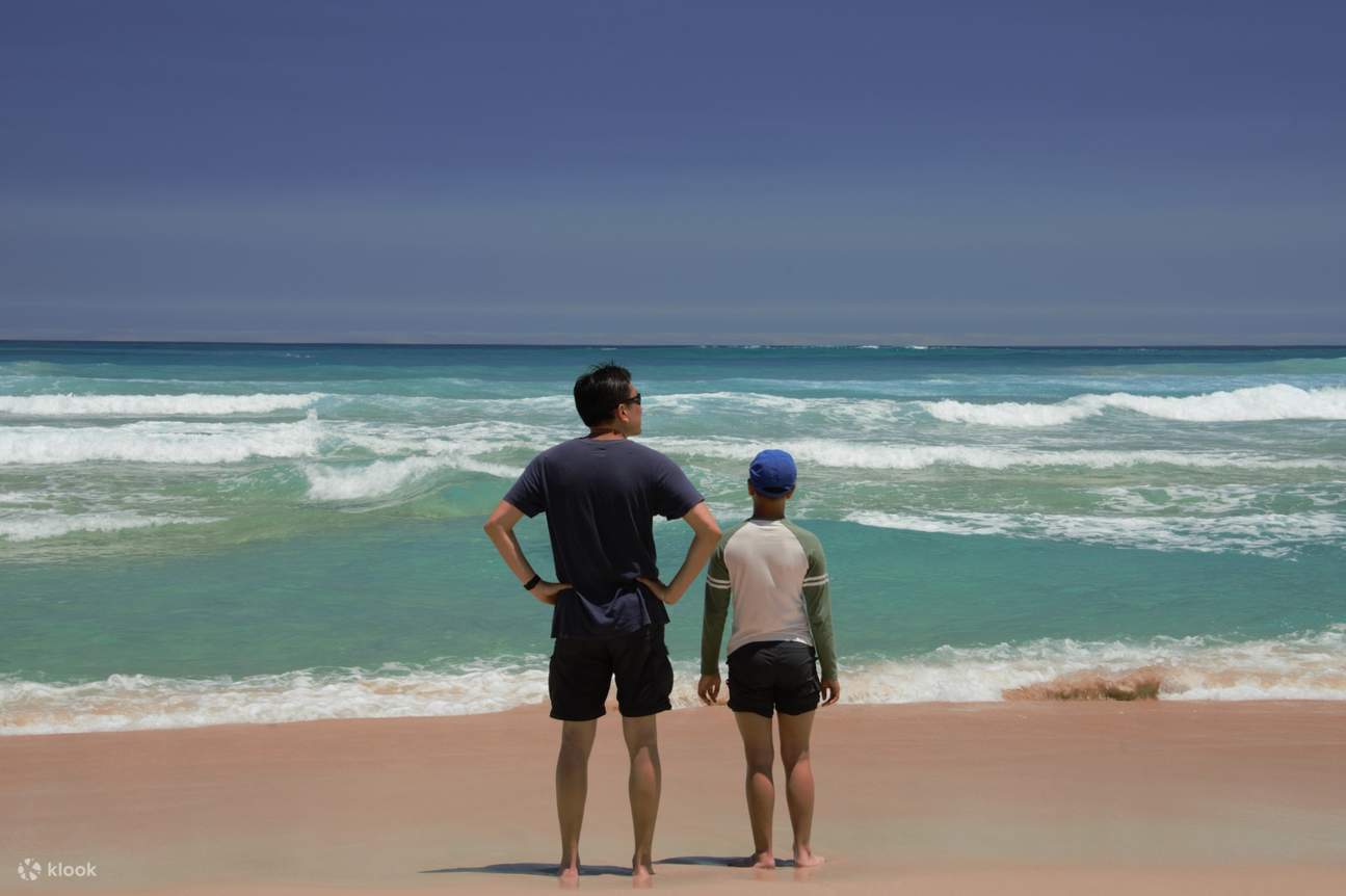 Beach And Forest Eco Adventure Tour in Pemberton - Klook Australia