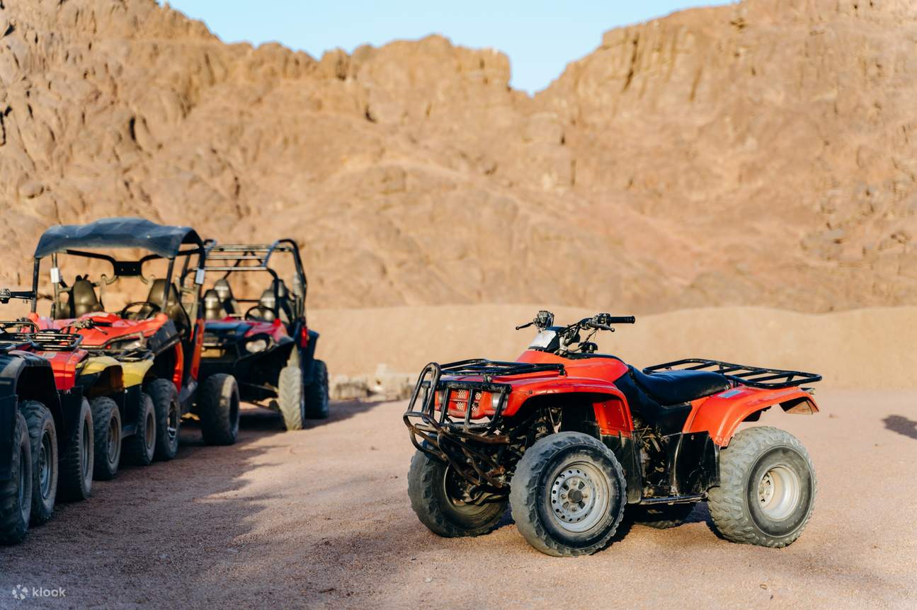 ATV Gurun Sinai, Naik Unta, dan Tur Pertunjukan dari Sharm El Sheikh ...