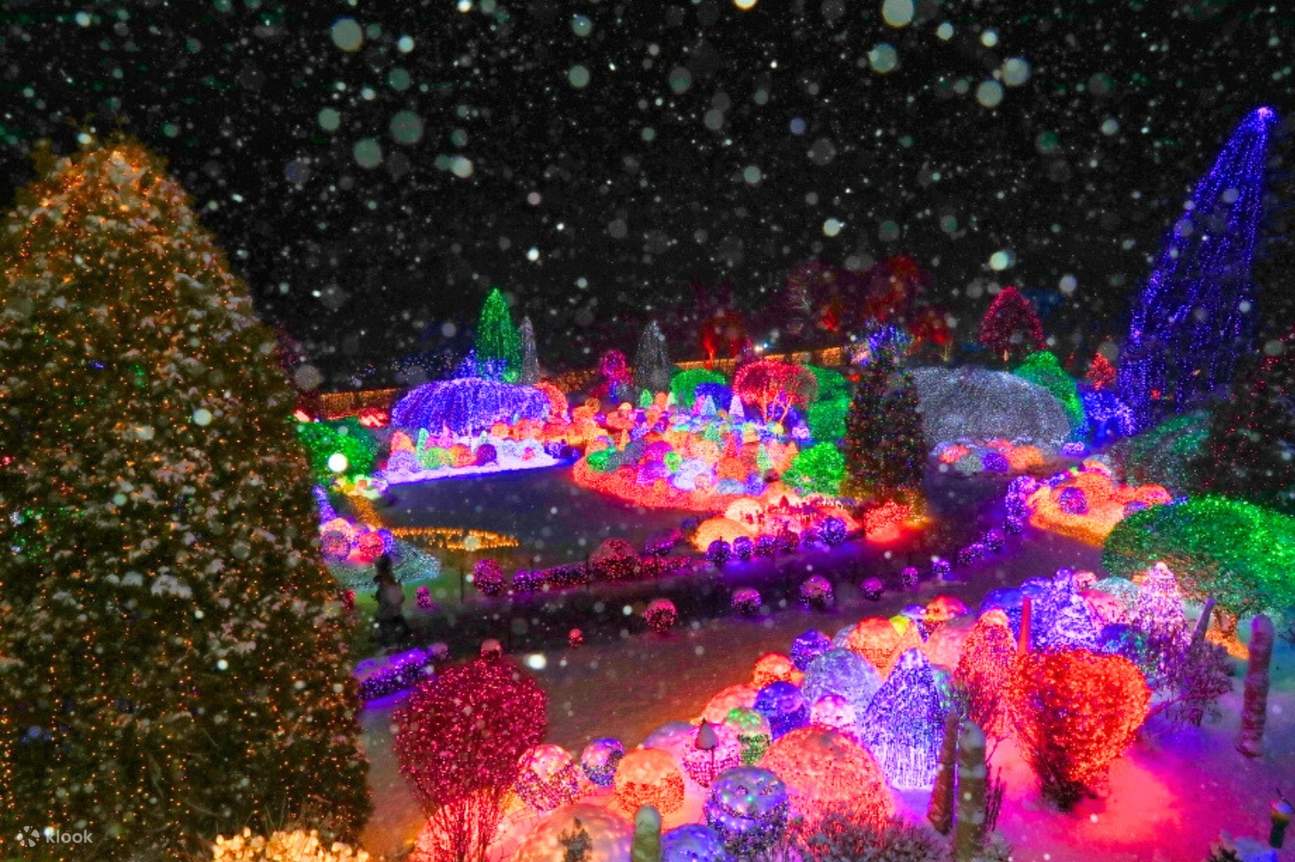 Nami Island and Garden of Morning Calm Lighting Festival Tour - Klook ...