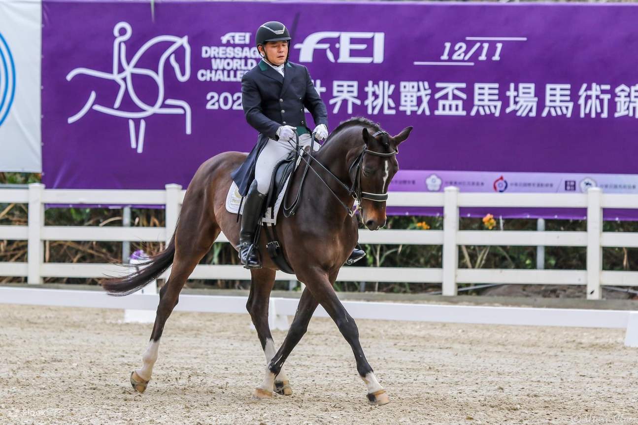 New Taipei: Equestrian Experience Course - Klook
