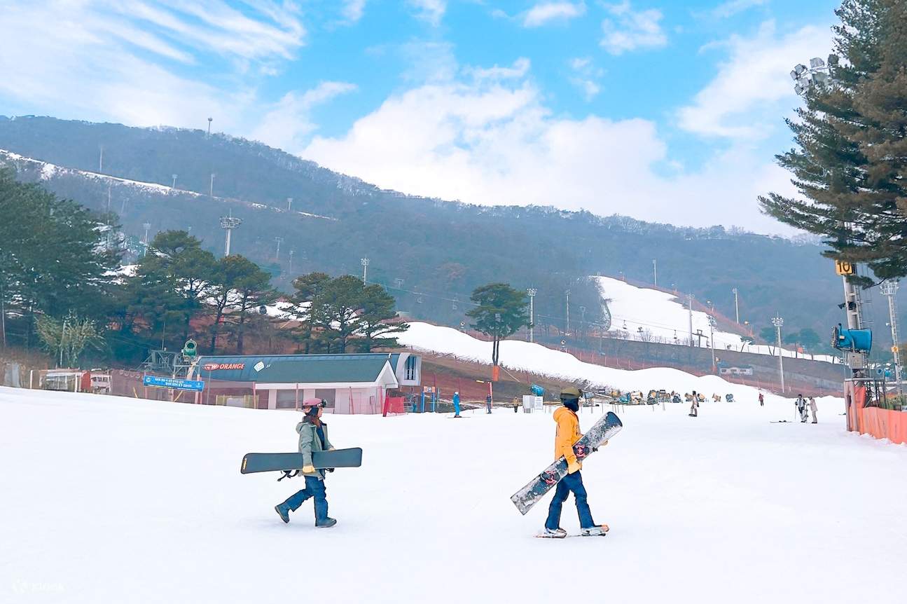 Jisan Ski Resort One Day Tour - Klook New Zealand