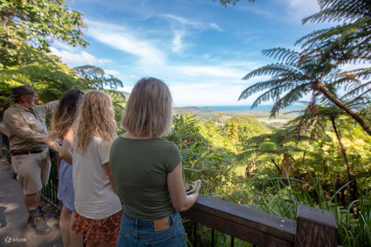 Daintree Rainforest & Cape Tribulation Full Day Tour from Cairns ...