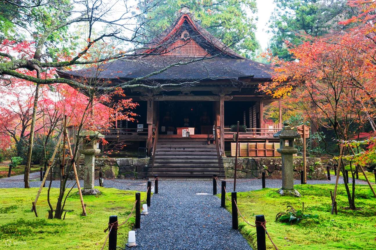 Kyoto Sanzen-in Temple & Sagano Scenic Railway & Sagano Bamboo Forest ...