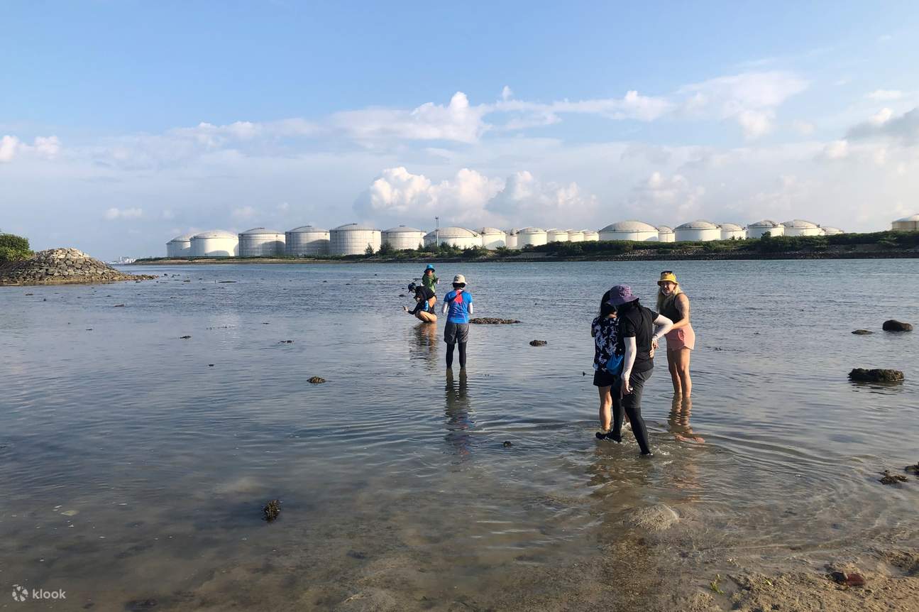 Southern Islands, Raffles Lighthouse and Pulau Hantu Tour - Klook