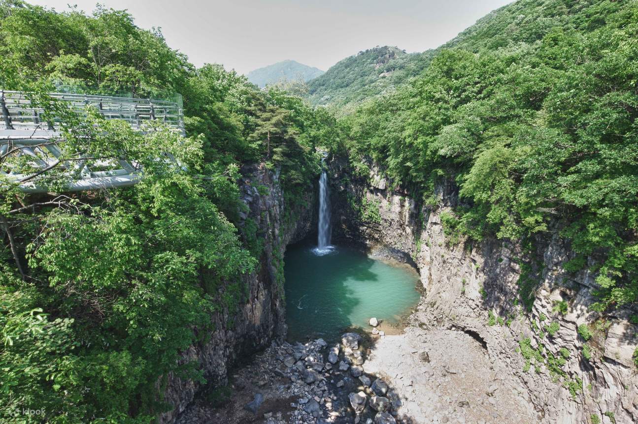 Autumn Instagrammable Tour from Seoul - Klook