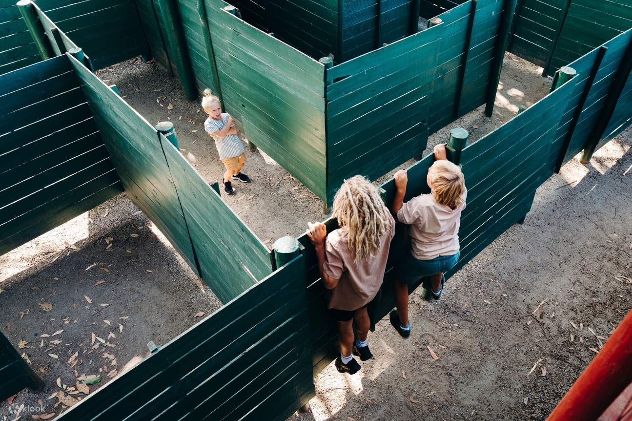 Ingresso al parco tematico Maze N Things - Klook Stati Uniti