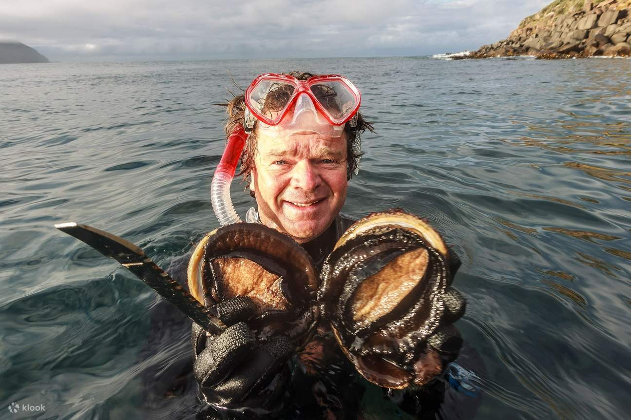 Tasmania Seafood Seduction Cruise Tour - Klook