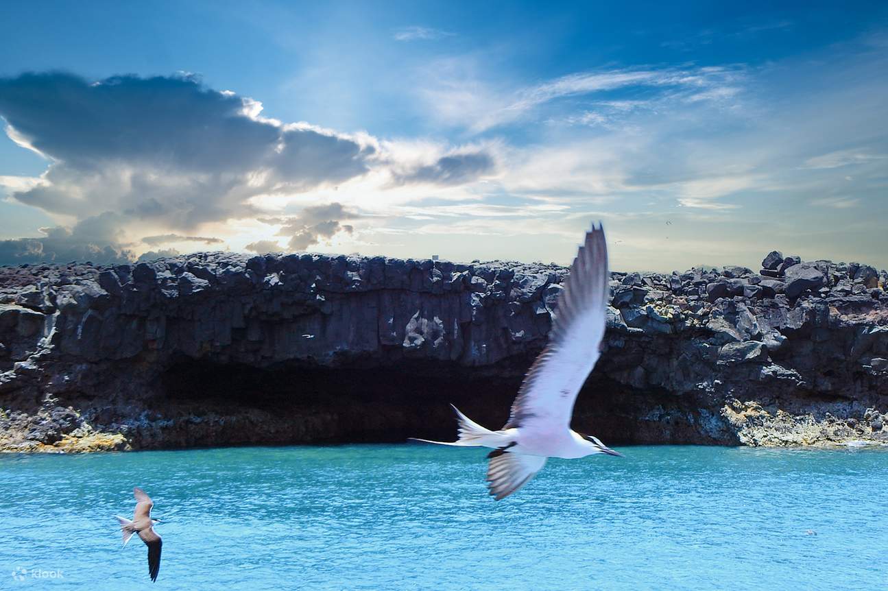 Penghu Island Hopping: Beihai Island Hopping & Okura Island One-day ...