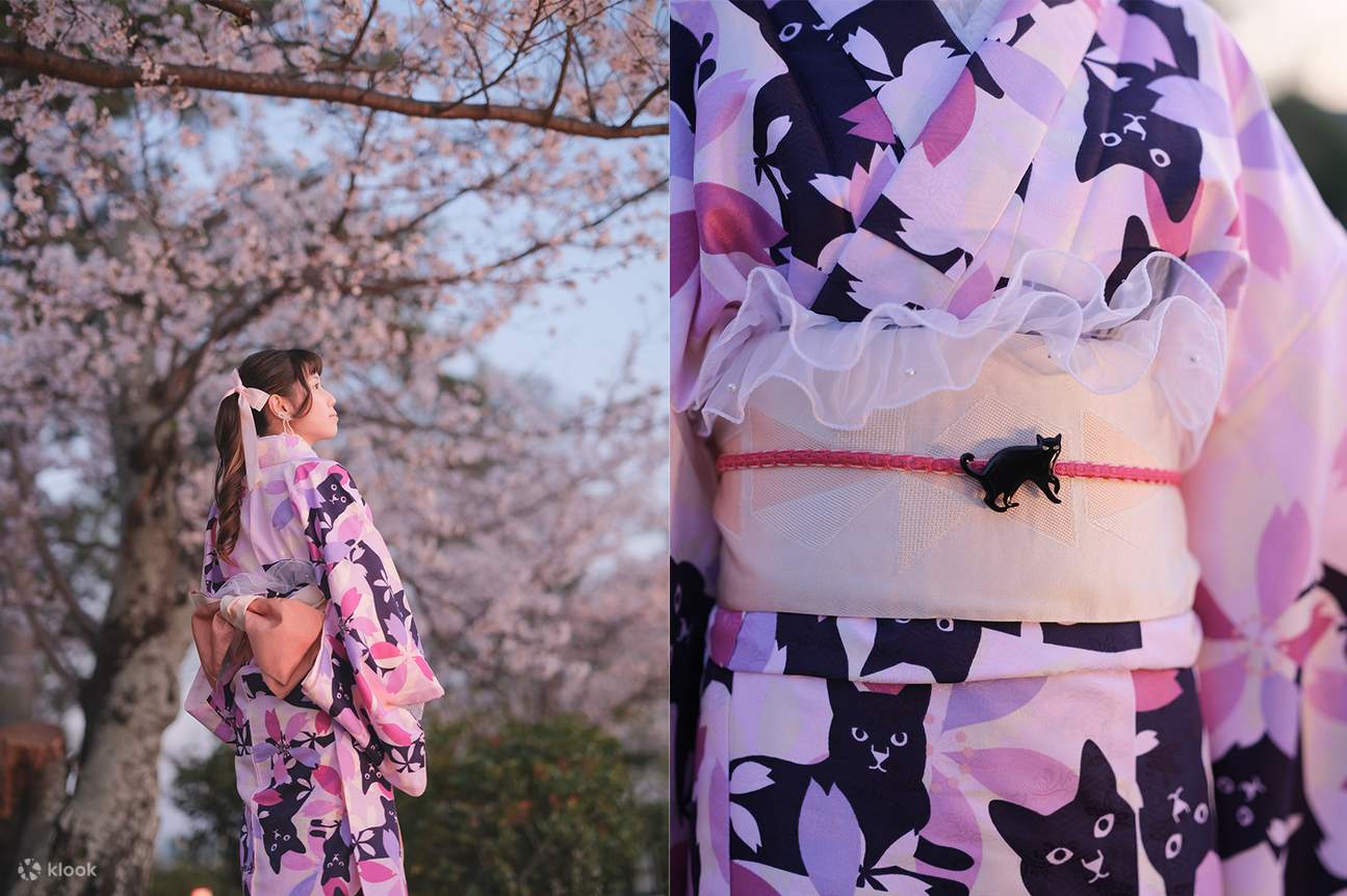 Kyoto Cat-Themed Kimono Experience - Klook Philippines