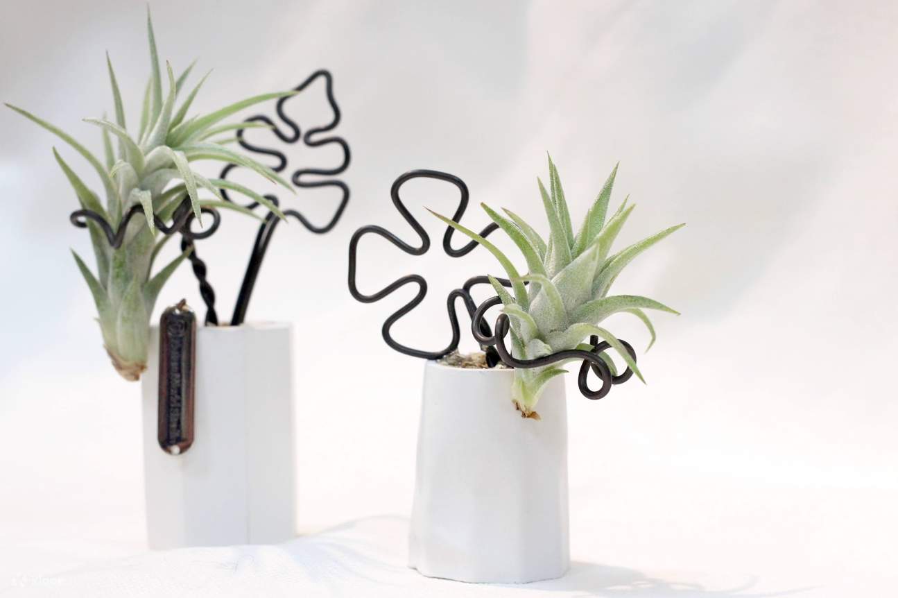 Taipei: Yuan Sheng Tai Studio - Floral Art & Plant Terrarium ...