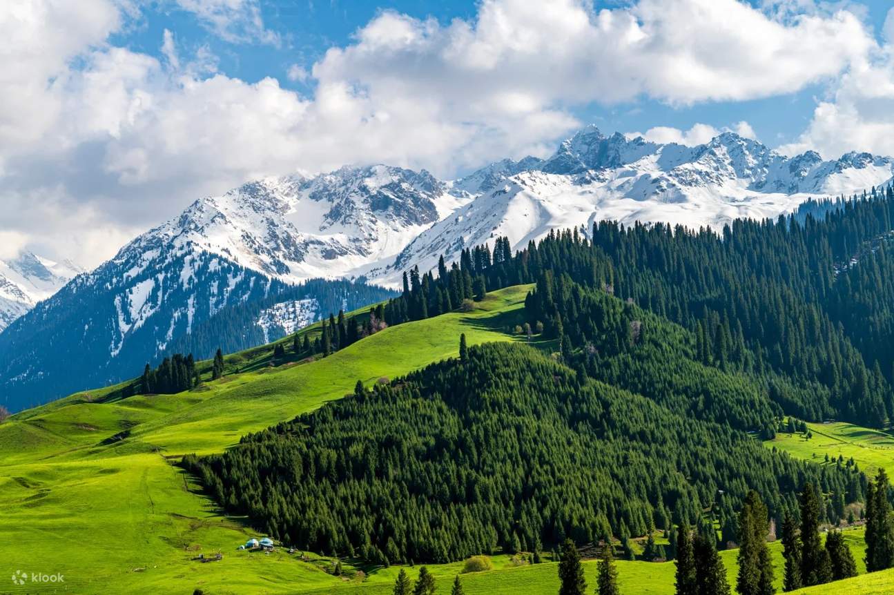 7-Day Xinjiang Wilderness Ili First Class 1+1 (Five Scenic Spots Self ...