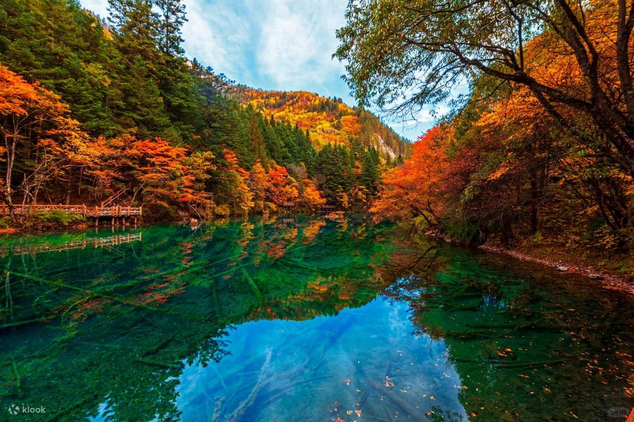 One-Day Tour of Jiuzhaigou National Park, Sichuan (Optional High-Speed ...