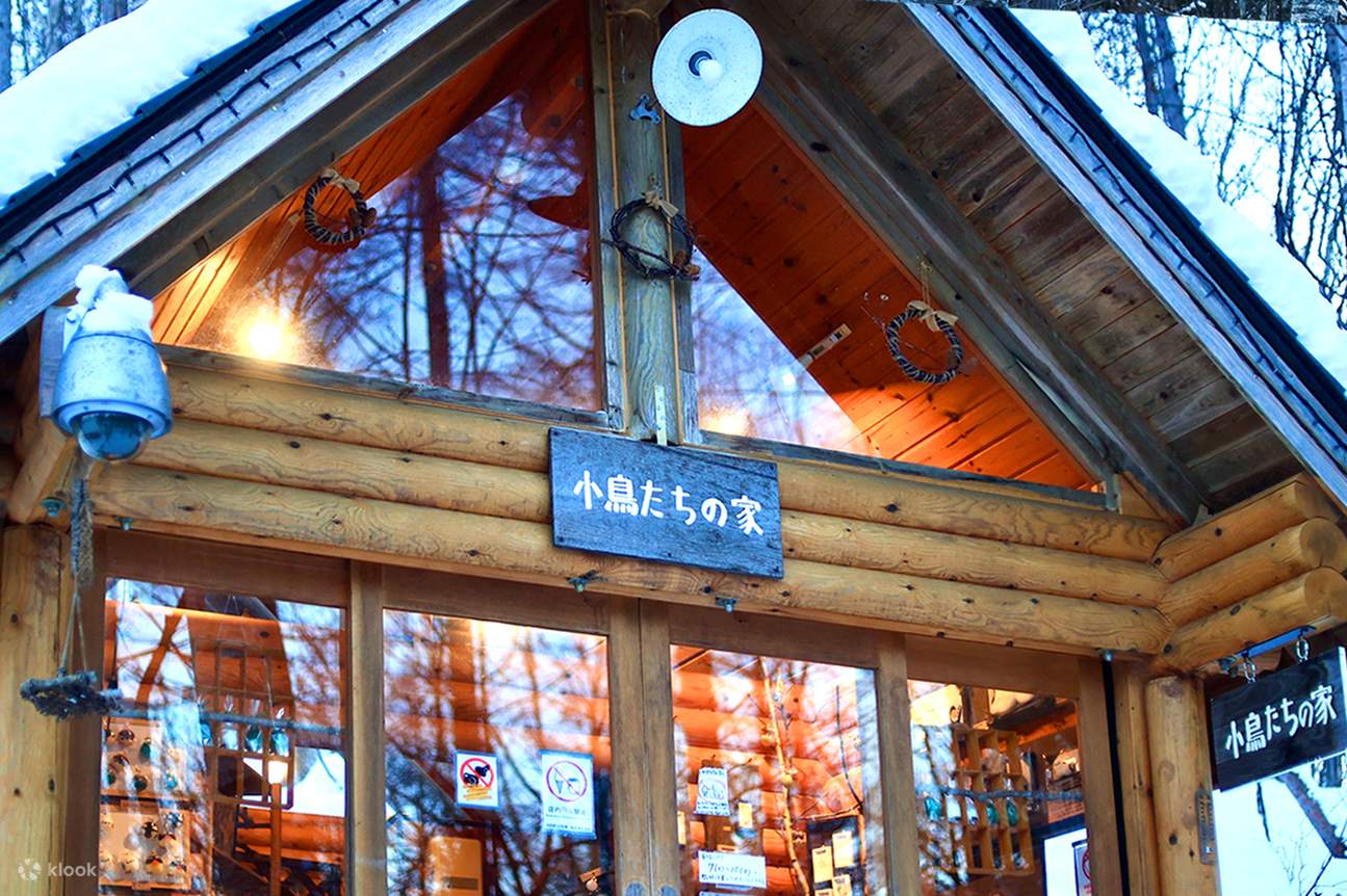 Hokkaido Winter Full-Day Tour | Penguin Walk, Platinum Blue Pond ...