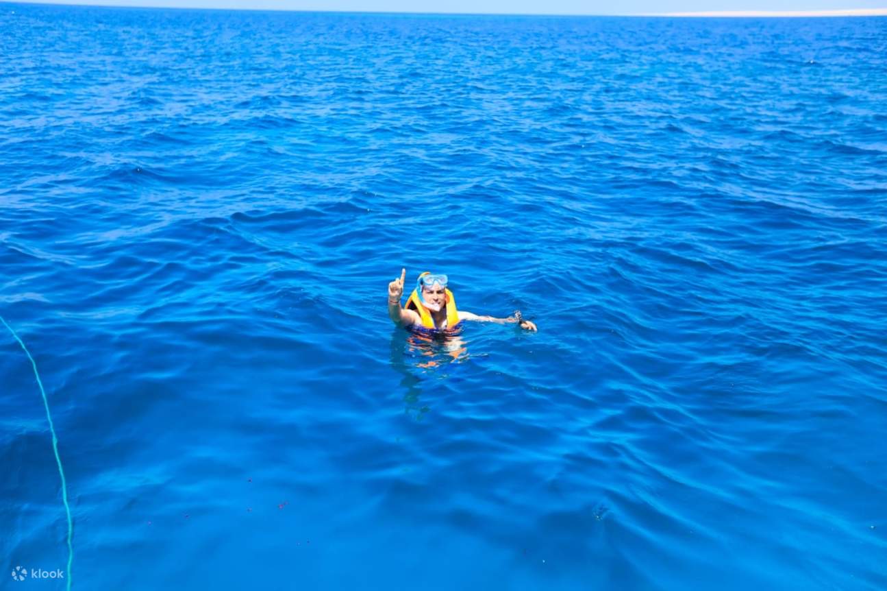 Semi Submarine Sea Trip & Diver Show With transfer - Marsa Alam - Klook