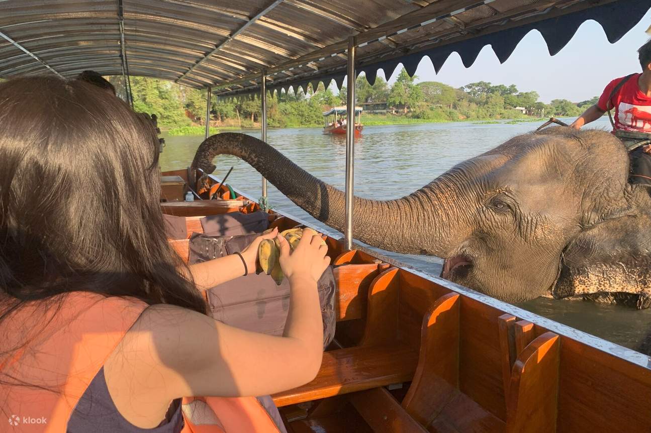 Let's go meet the elephants by boat! Half-day tour of the World ...