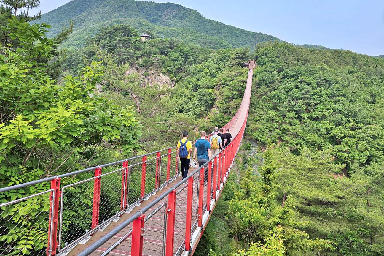 DMZ North Korea Experience & Suspension Bridge Tour from Seoul - Klook
