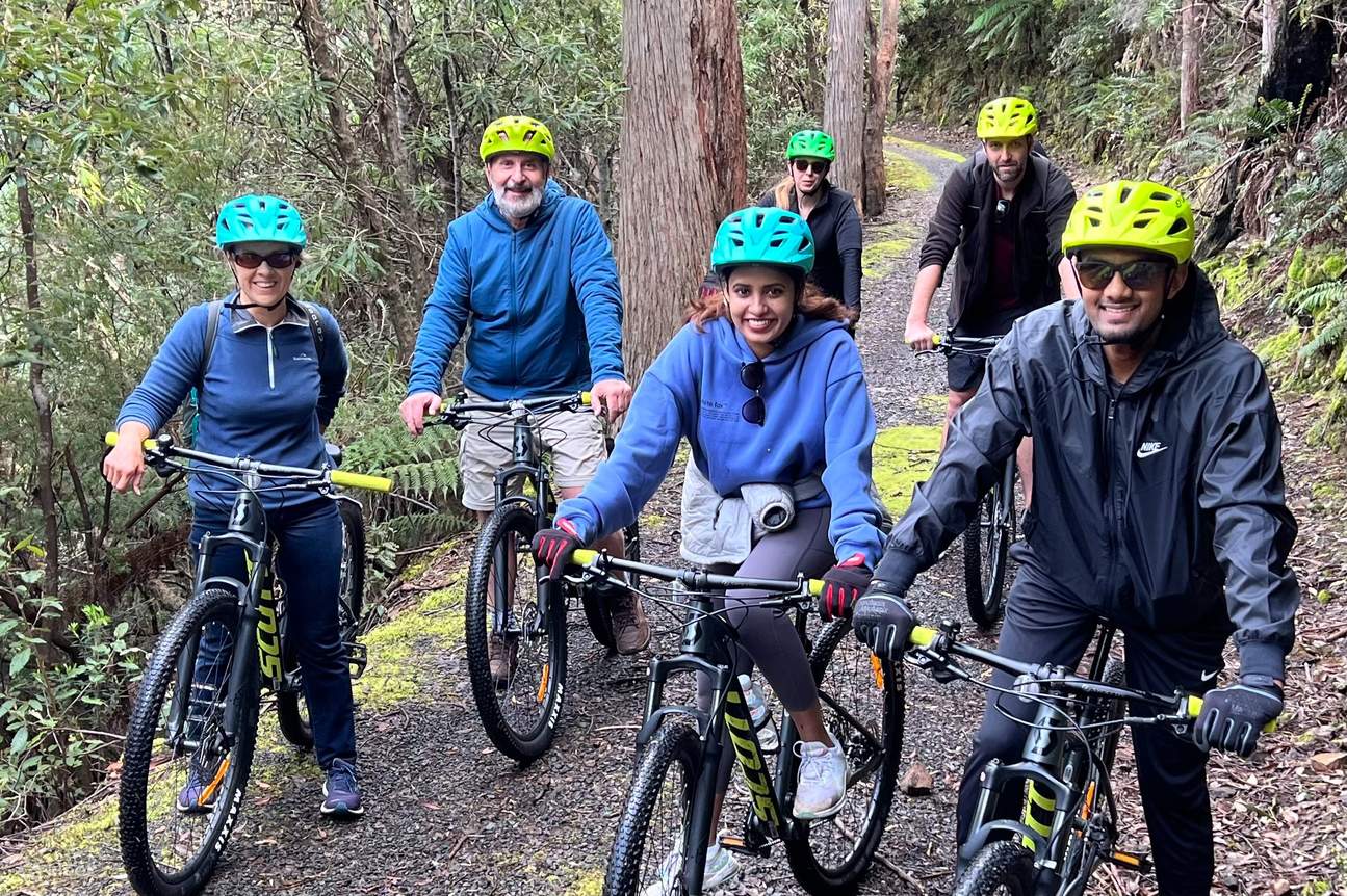 Summit Descent & Rainforest Adventure Ride - Klook