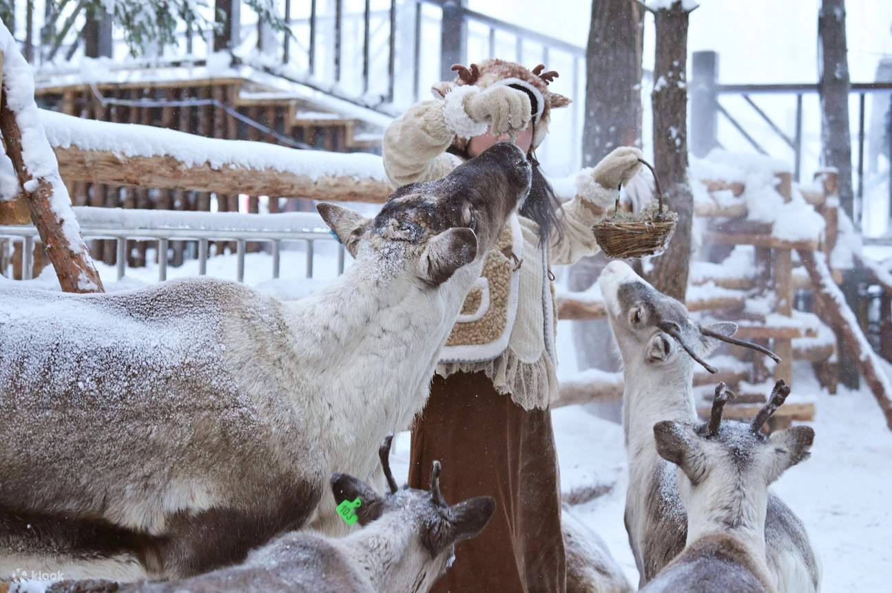 雪韵-温澜水乡5天4晚:冬奥崇礼-多伦冬捕-雪原乌兰布统- 雪地寻踪-牧民家“过大年”- 硬派越野穿越-驯鹿部落-古北水镇 - Klook客路