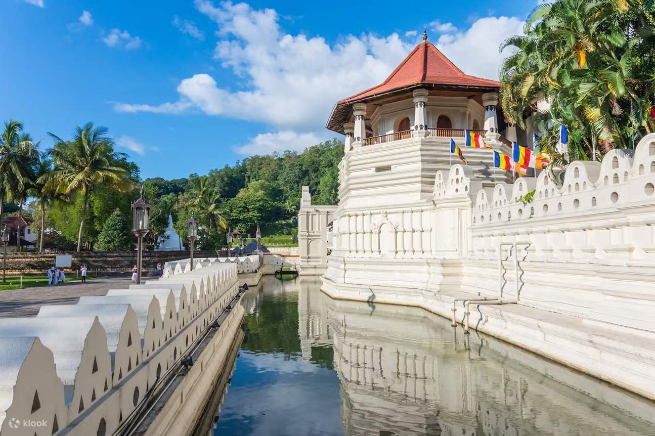 Kandy Private Day Tour - Departing from Any Location in Sri Lanka ...