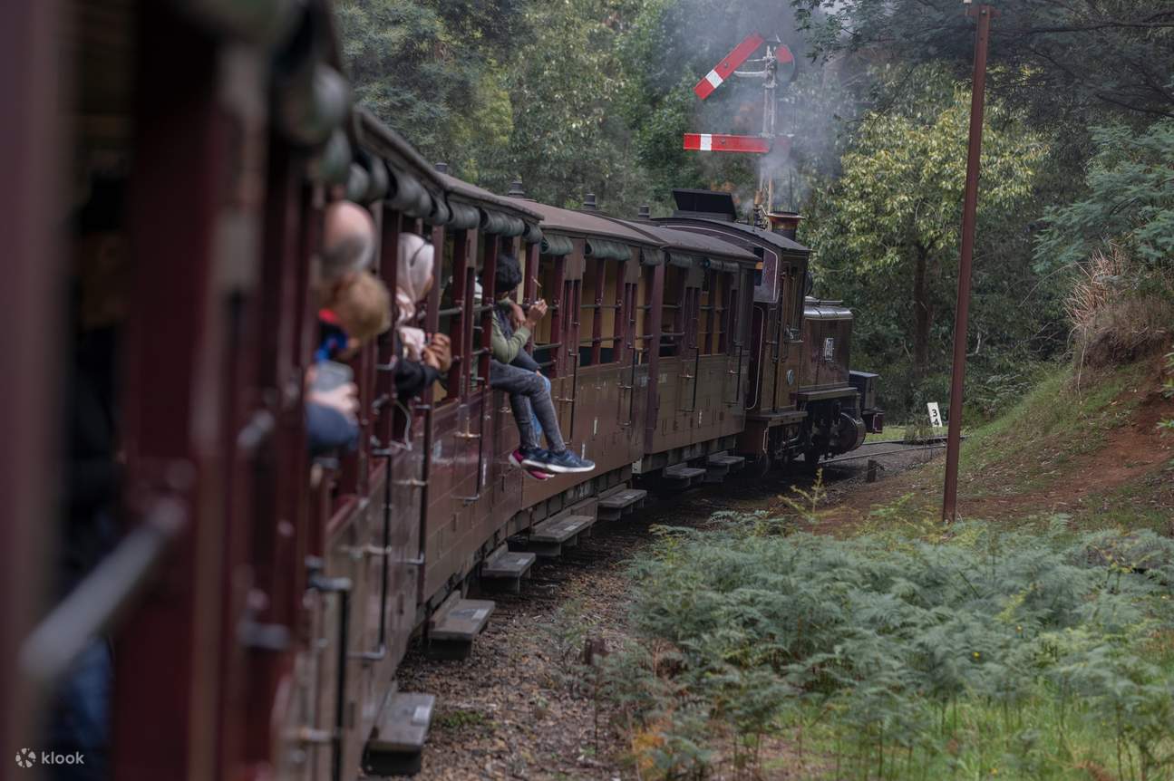 Puffing Billy & Penguin Parade Combo Tour From Melbourne - Klook Australia