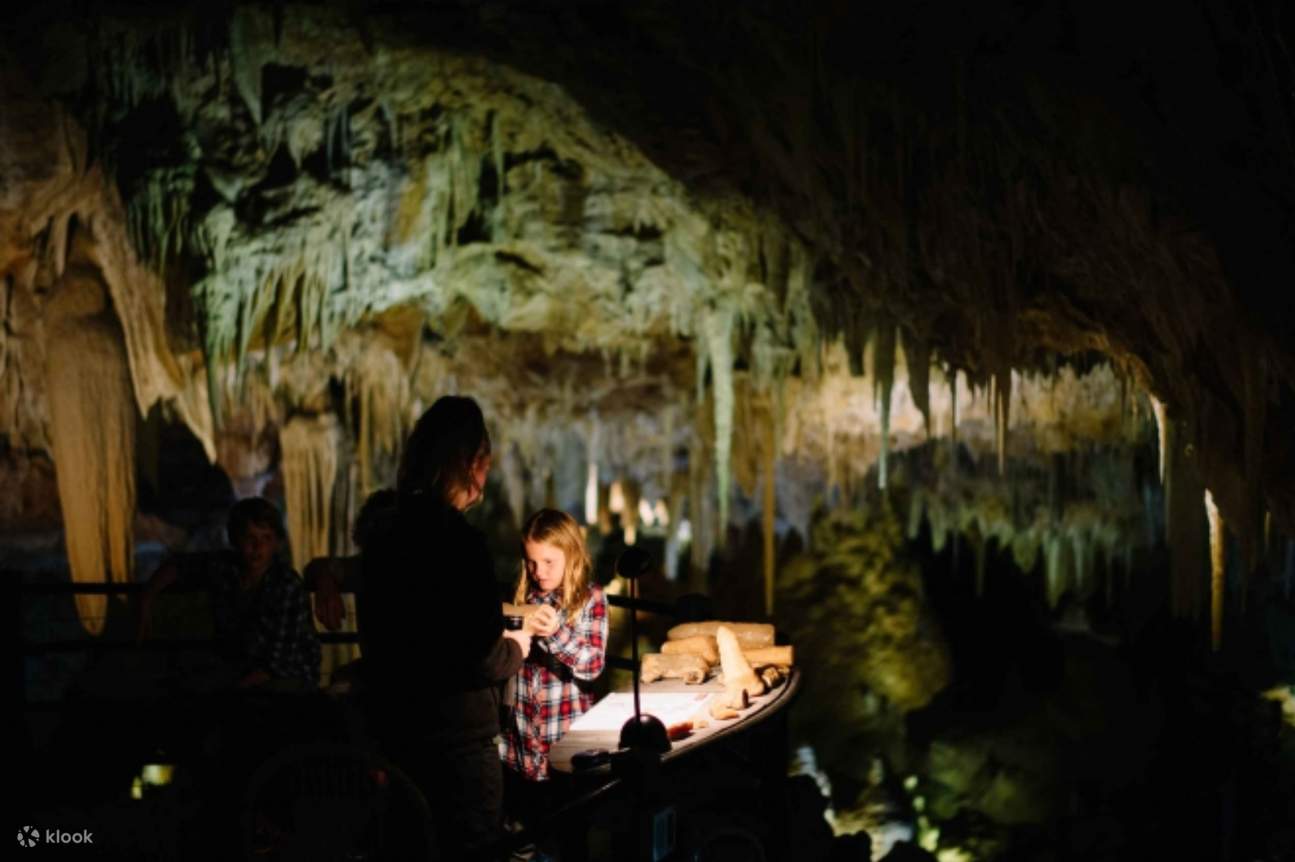 Ngilgi Cave Adventure in Margaret River - Klook