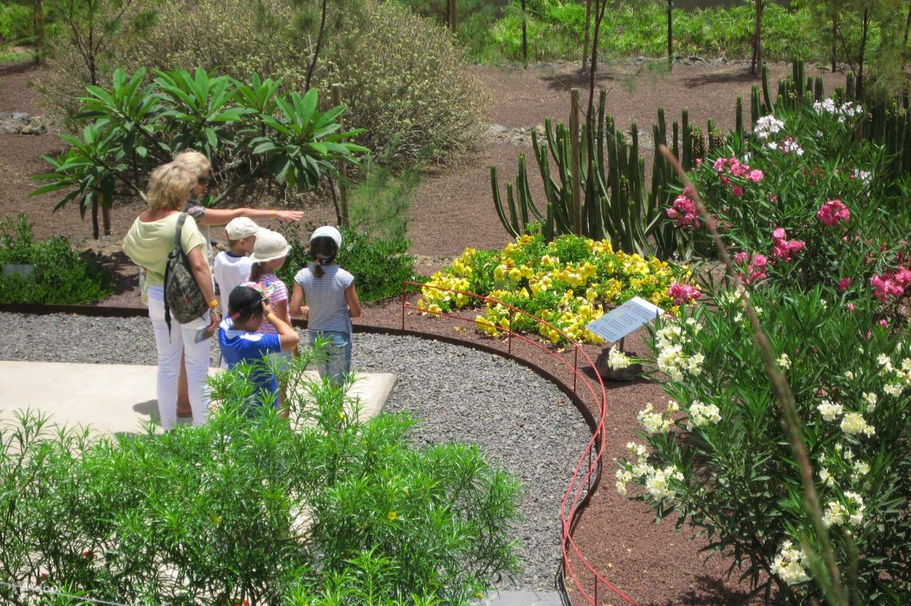 Pyramids of Güímar Ticket in Tenerife - Klook Philippines