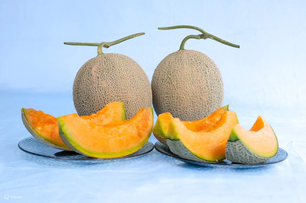 All-you-can-eat Yubari Melon! Hokkaido Lavender Tour fm Sapporo - Klook ...