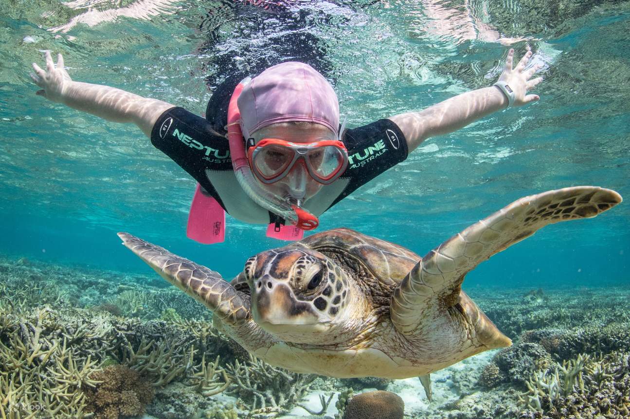 Lady Elliot Island & Great Barrier Reef Day Tour from Agnes Water - Klook