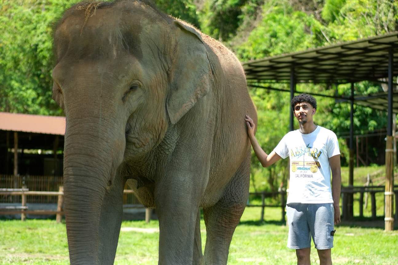 Jungle Jumbo Elephant Camp in Chiang Mai - Klook Malaysia