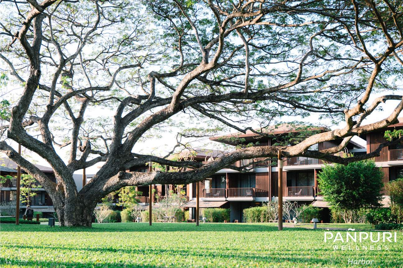 PANPURI Wellness Harbor at Andaz Experience in Pattaya - Klook India