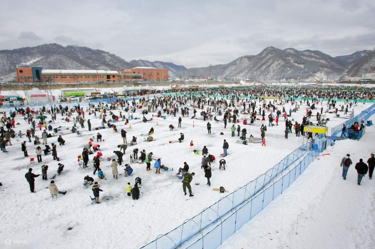 Seoul Car Rental with Driver to Hwacheon Sancheoneo Festival Ice ...