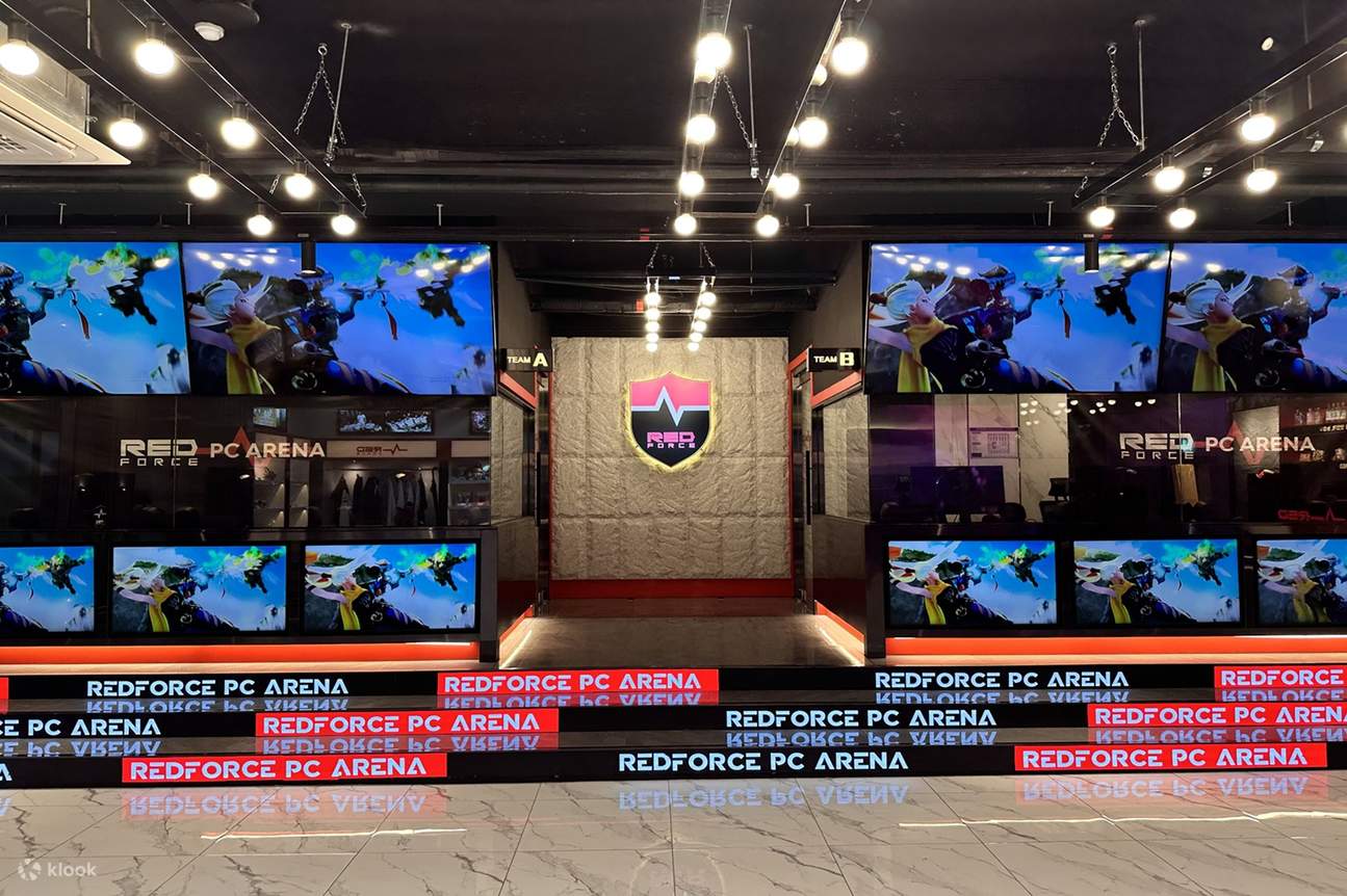 Nongshim RedForce LCK One-Day Private Tour - Klook