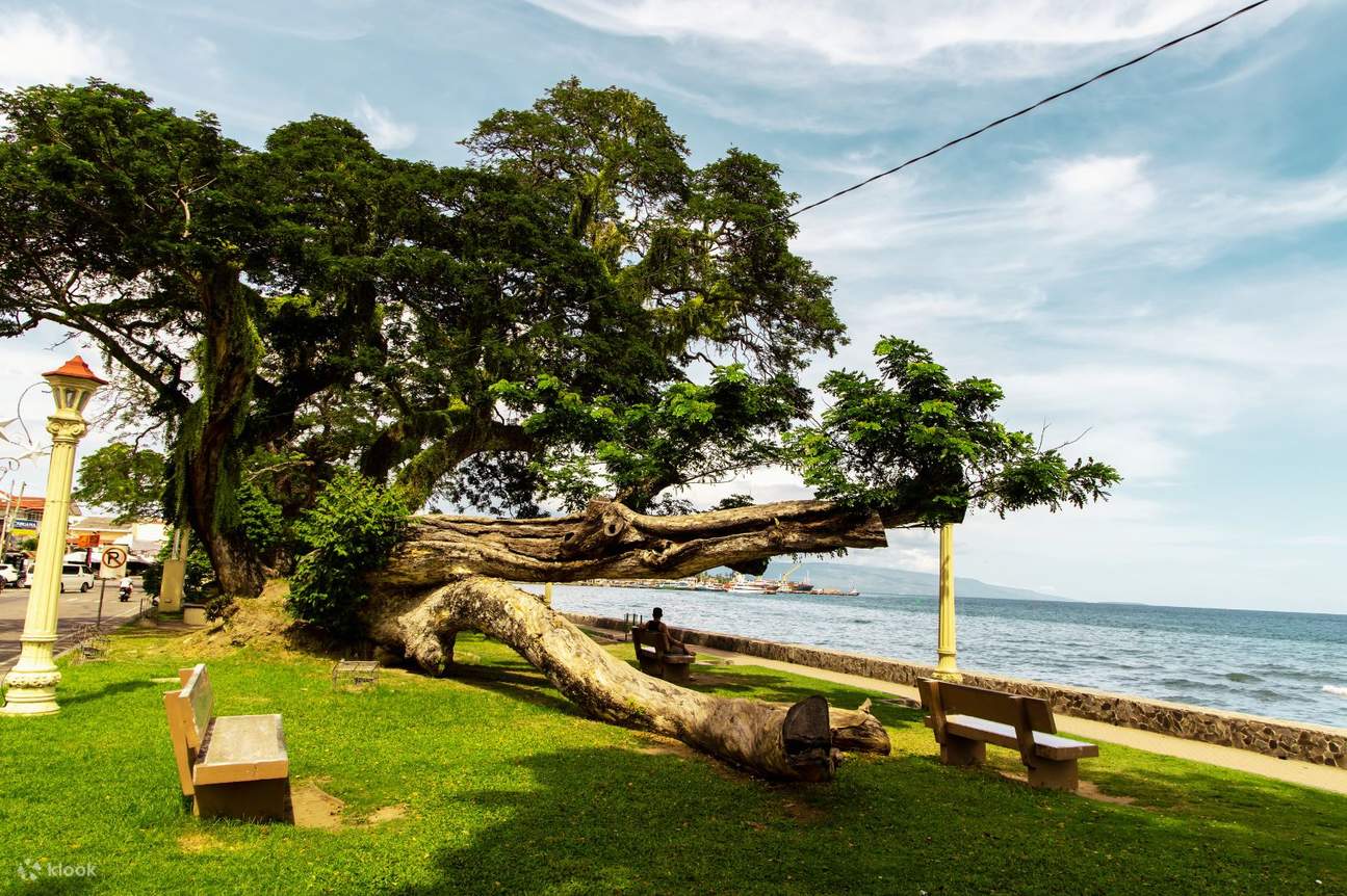 Dumaguete City Tour with Side Trip to Pulang Bato Falls - Klook