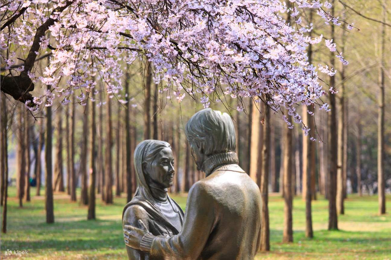 Nami Island and Garden of Morning Calm Lighting Festival Tour - Klook ...