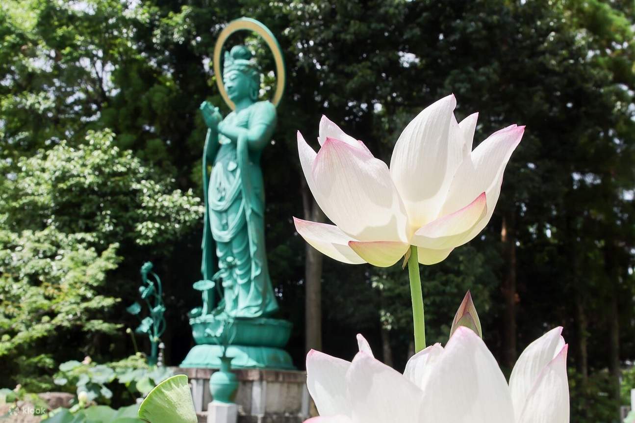 Nara: Nishi-kyōren Lotus Road Four Temples Ticket (Saidaiji Temple ...