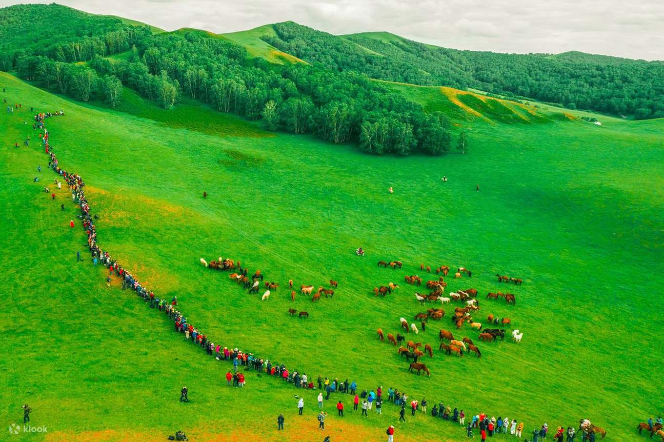 3-Day Tour to Wulanbutong Grassland in Inner Mongolia (2-6 people in ...