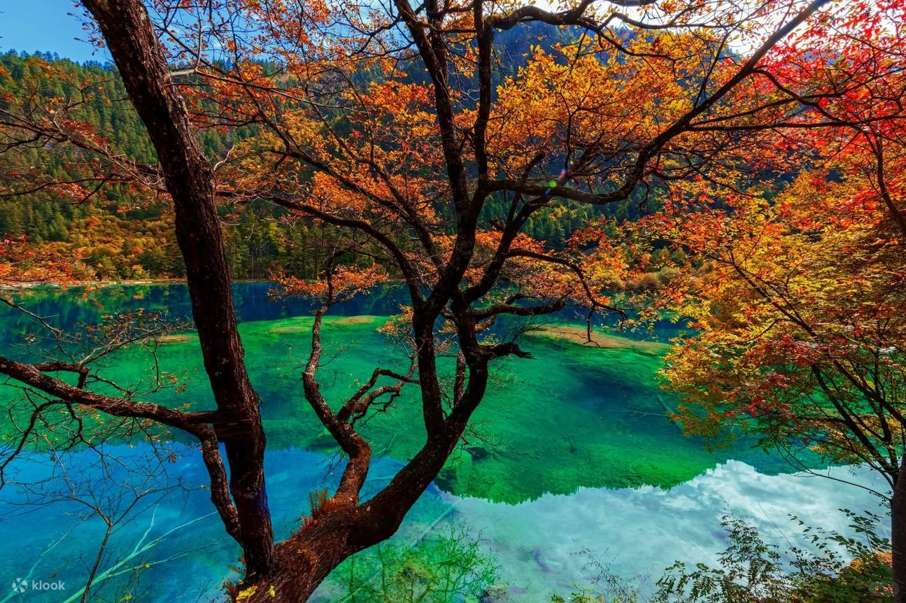 One-Day Tour of Jiuzhaigou National Park, Sichuan (Optional High-Speed ...